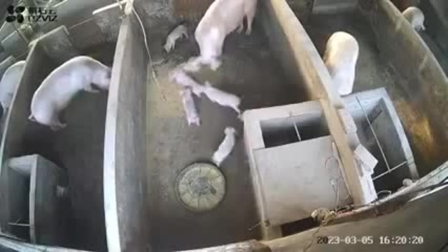 Mom of the year (song: VRIMA KISHOU - Fall) - Coub