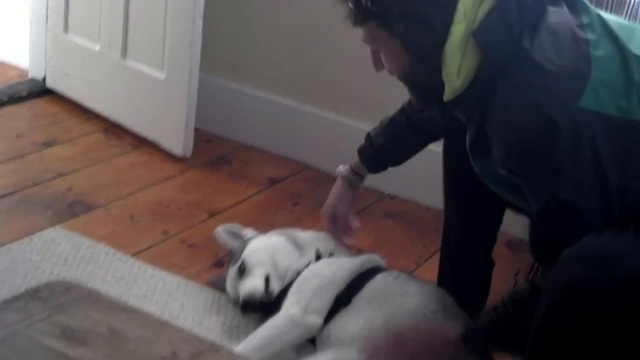 Come on motherfucker - Coub