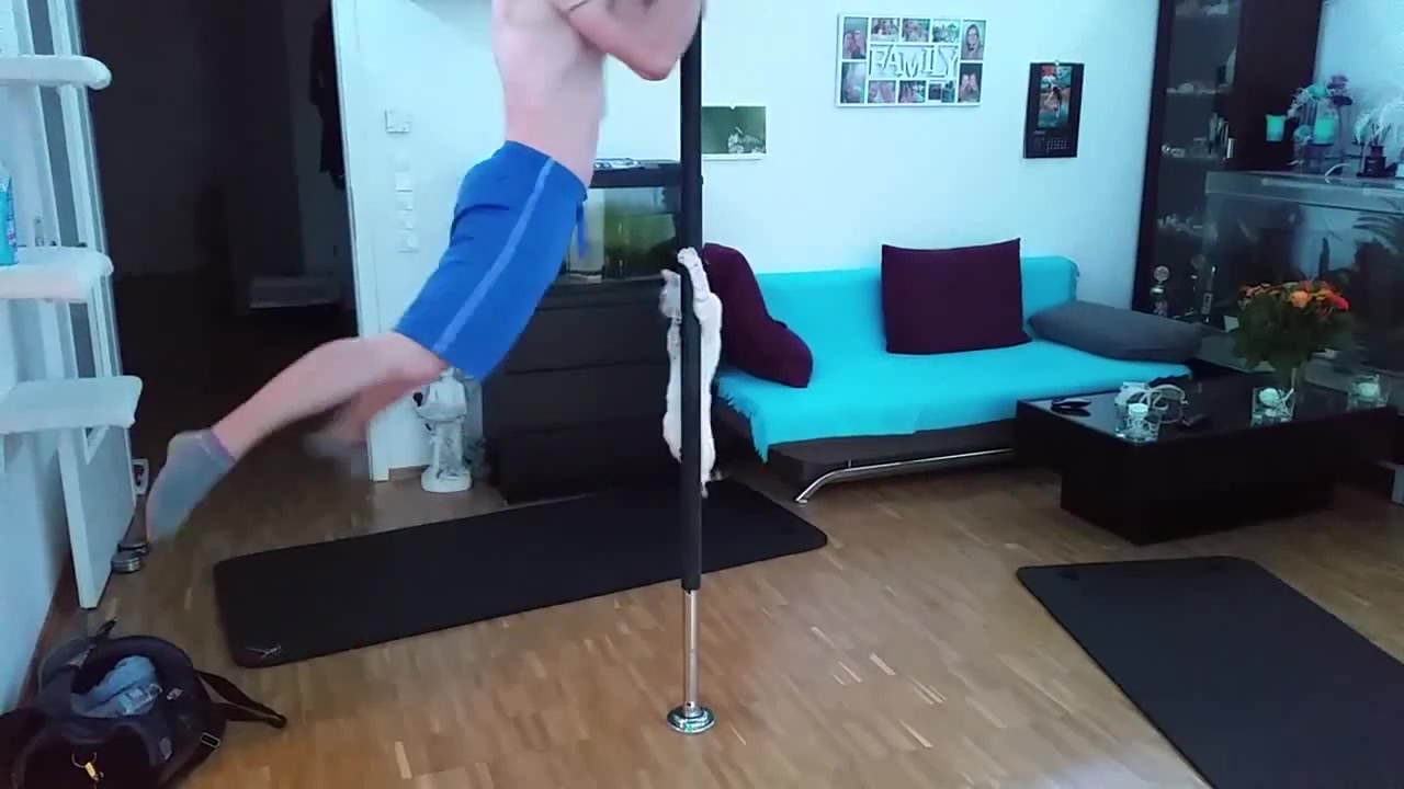 Coolest cat in the house makes pole dancing - Coub