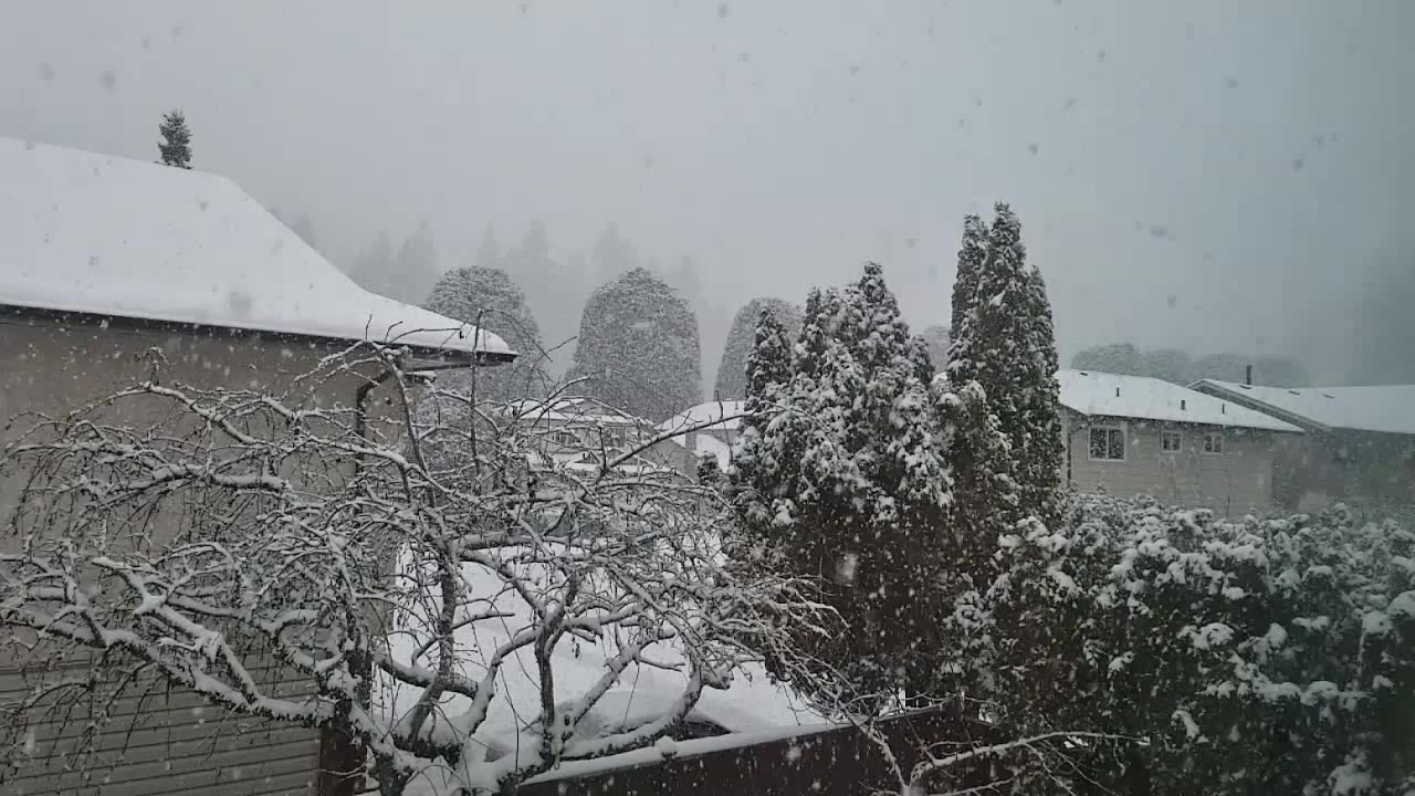 Прощай Зима|Farewell winter - Coub