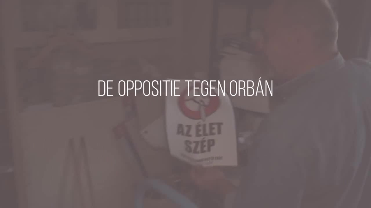 Poster of the Hungarian Two-tailed Dog Party in video of PvdA - Coub