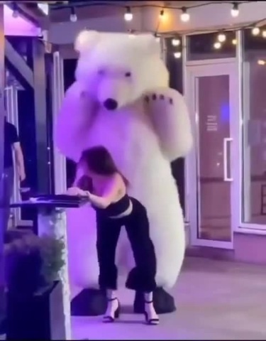 dance with a bear - Coub