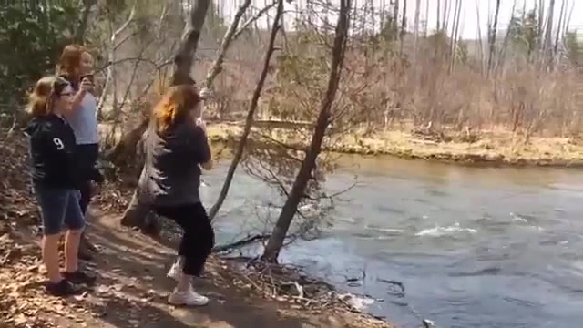 River rope swing fail - Coub