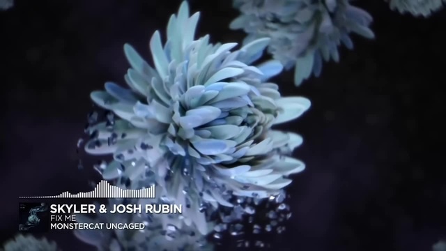 SKYLER & Josh Rubin - Fix Me - Coub