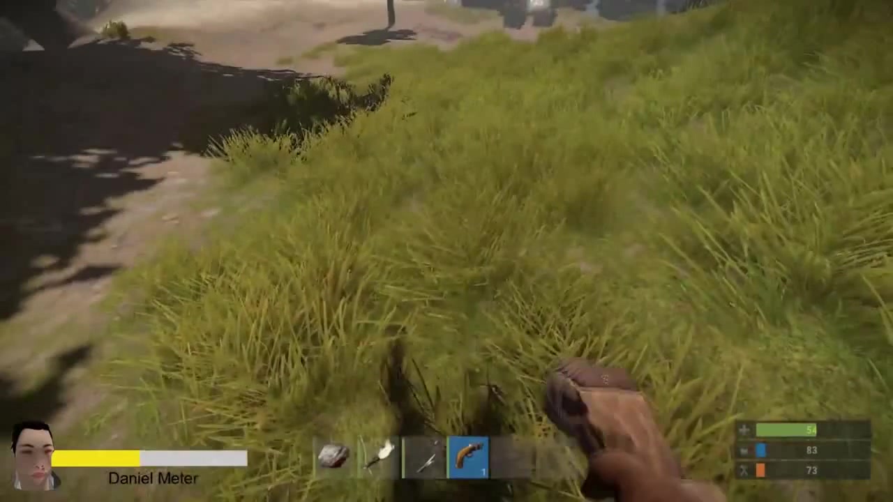 Expert Rust Teachings - Coub