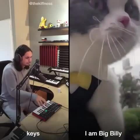 The biggest wet willy - Coub