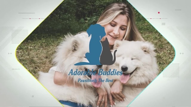 Charming Pet Lover Gifts | Dog T-Shirts | Adorable Buddies - Coub