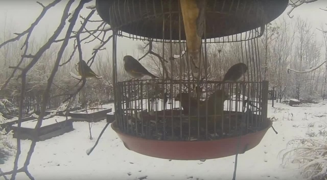 Winter is back - Coub