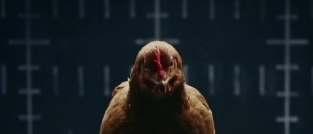Mercedes-Benz TV: MAGIC BODY CONTROL TV commercial "Chicken" - Coub
