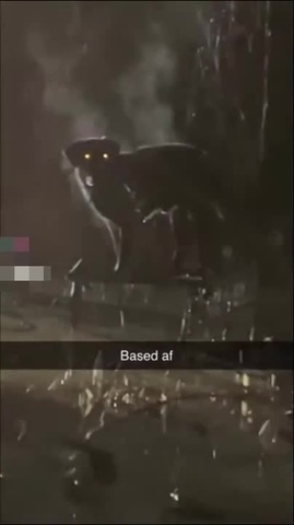 Based af - Coub