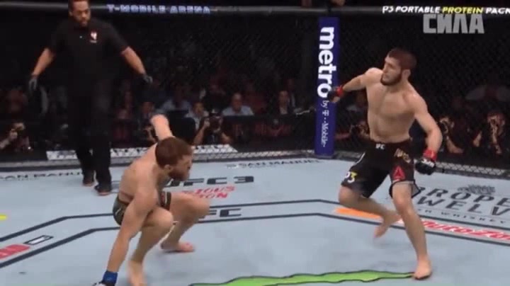 KHABIB NURMAGOMEDOV FROM DAGESTAN KNOCK DOWN CONOR MCGREGOR - Coub
