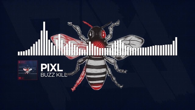 PIXL - Buzz Kill - Coub
