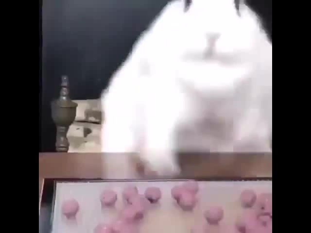 HALF-LIFE SFX - Coub