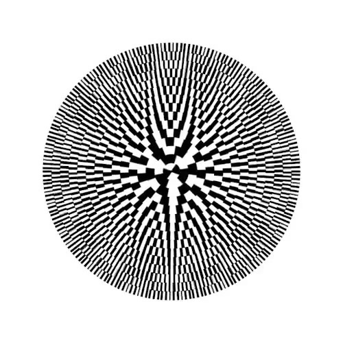 the Squatch Sphere - Coub