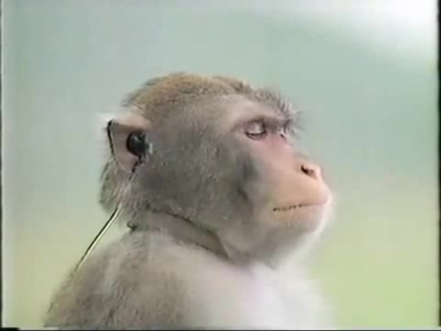 Японская Реклама - SONY WALKMAN 1988 - Coub