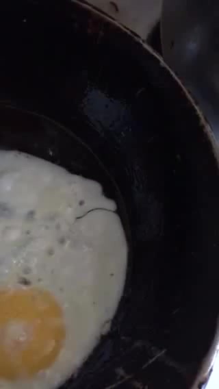 Egg Dolphin cover - Coub