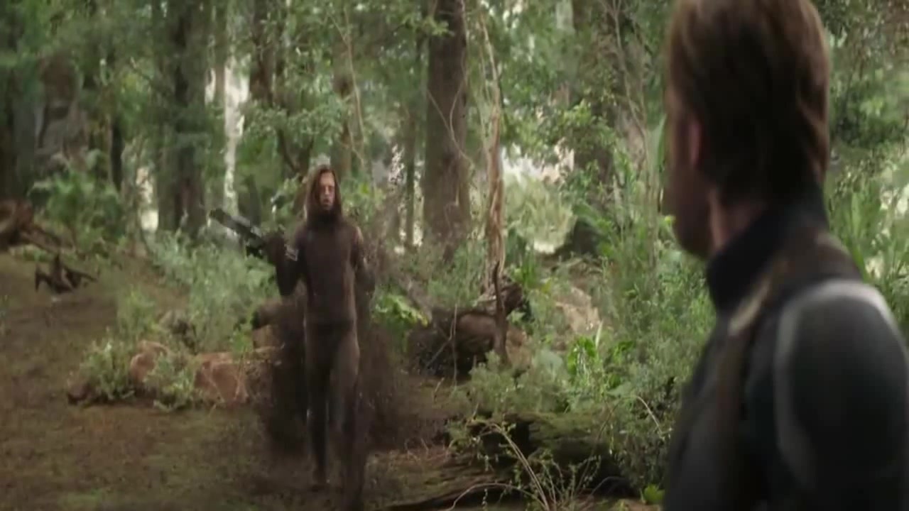 Avengers: Infinity War - Coub