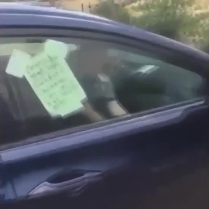 My Webm Collection 25 - Coub