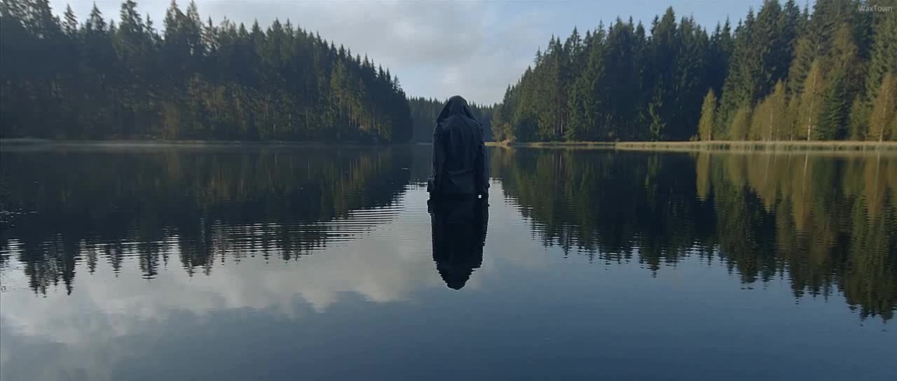 'Reflections' - Coub