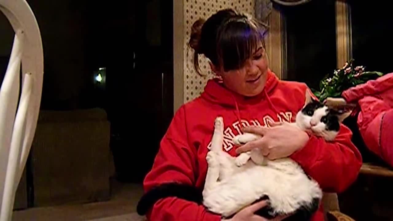 Cat Sings with Owner - Coub