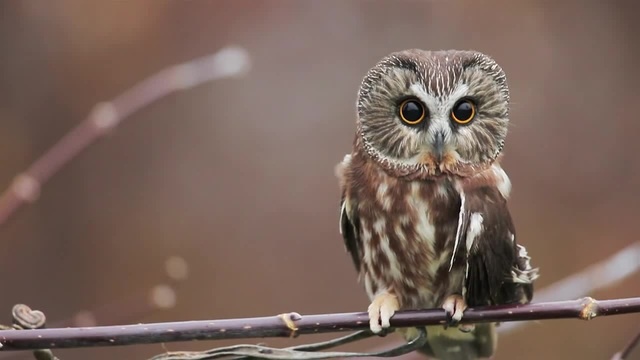 visual connect - Coub