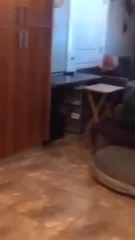 Master Faka 😂 - Coub