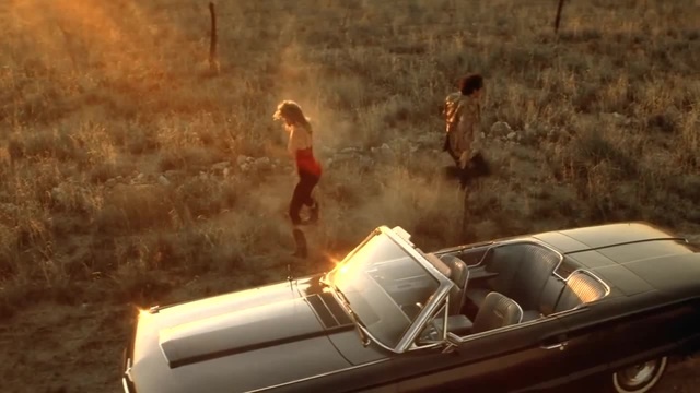 Wild at Heart (Что значит «кончится лето»?) - Coub