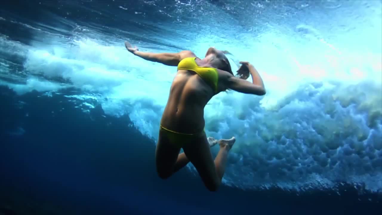 under the sea - Coub