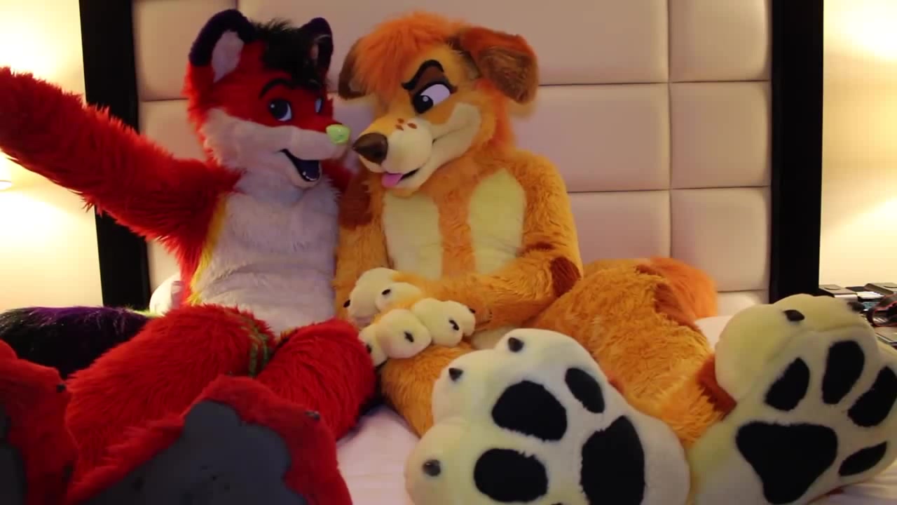 Sunny Dingo leaves Majira - Coub