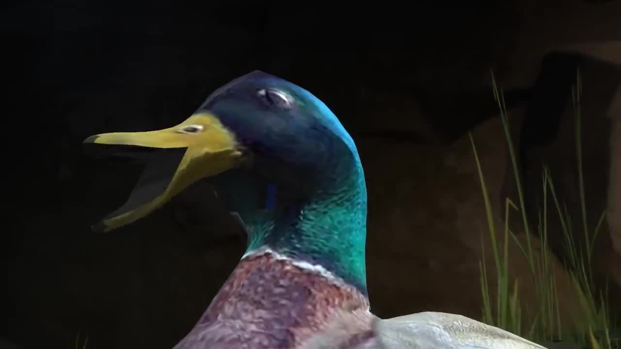 [SFM] Duck.exe has stopped working - Coub