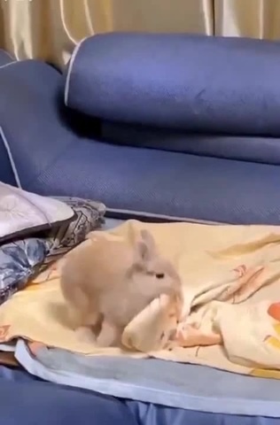 need some sleep - Coub