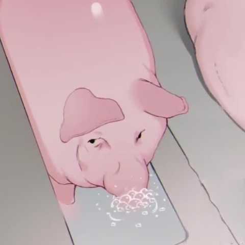 Drawn Pig jacuzzi gif - Coub