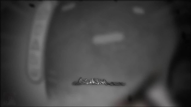 Saprophytes (bed bugs) - Coub