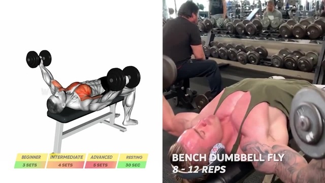 Chest and Triceps Workout ‖ Mass & Strength - Coub