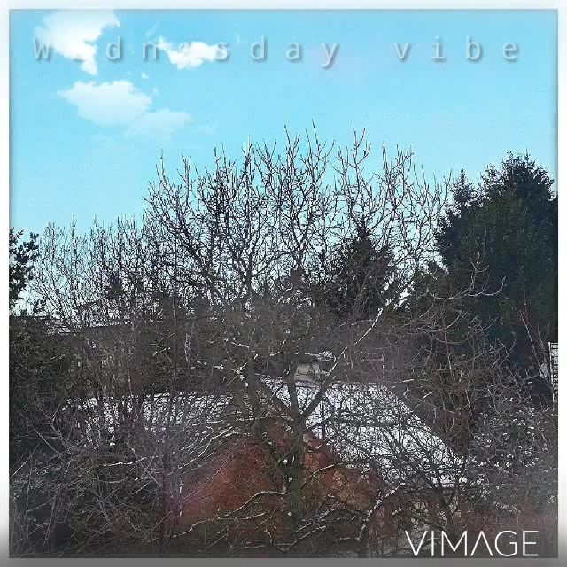 Wednesday vibe - Coub
