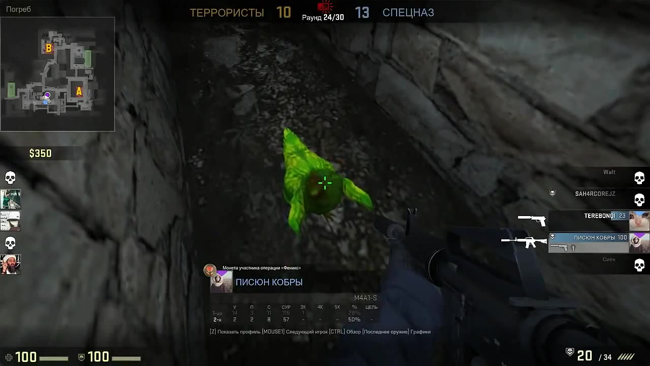 Silver play csgo . by SAH4R SHOW - Coub