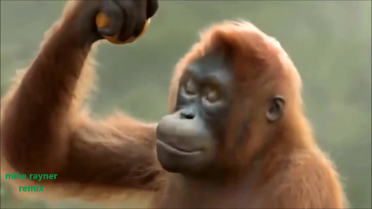 the way you make me feel - Coub