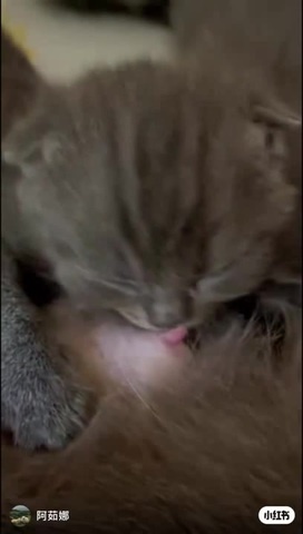 Wireless Charging... (2 months until fully charged) - Coub