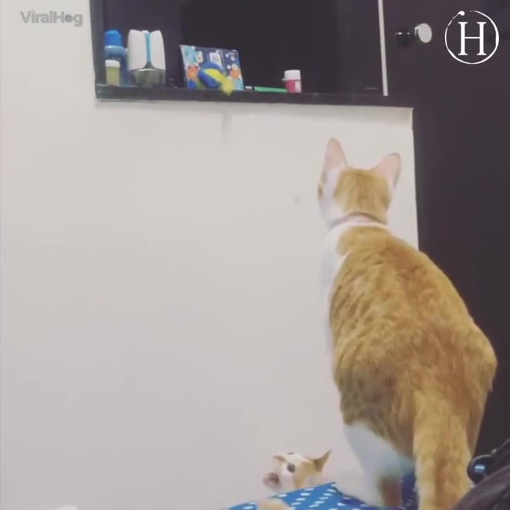 Time to Play,время пойграть - Coub