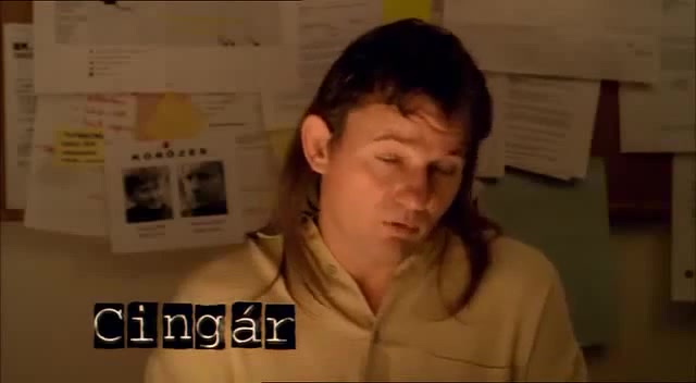 Üvegtigris; amikor cingár szaxizik. - Coub