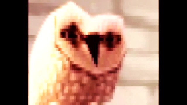 OWL.EXE l Harry Potter PS1 - Coub