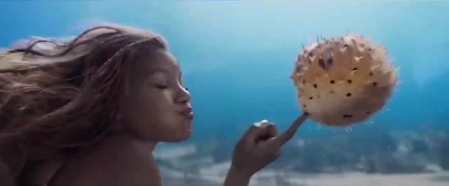 The Little Meg - Coub