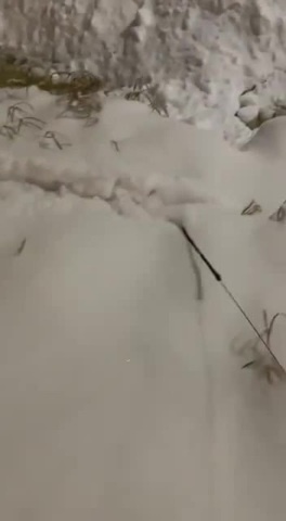 Кого я выгуливаю? | Who is under the snow? - Coub