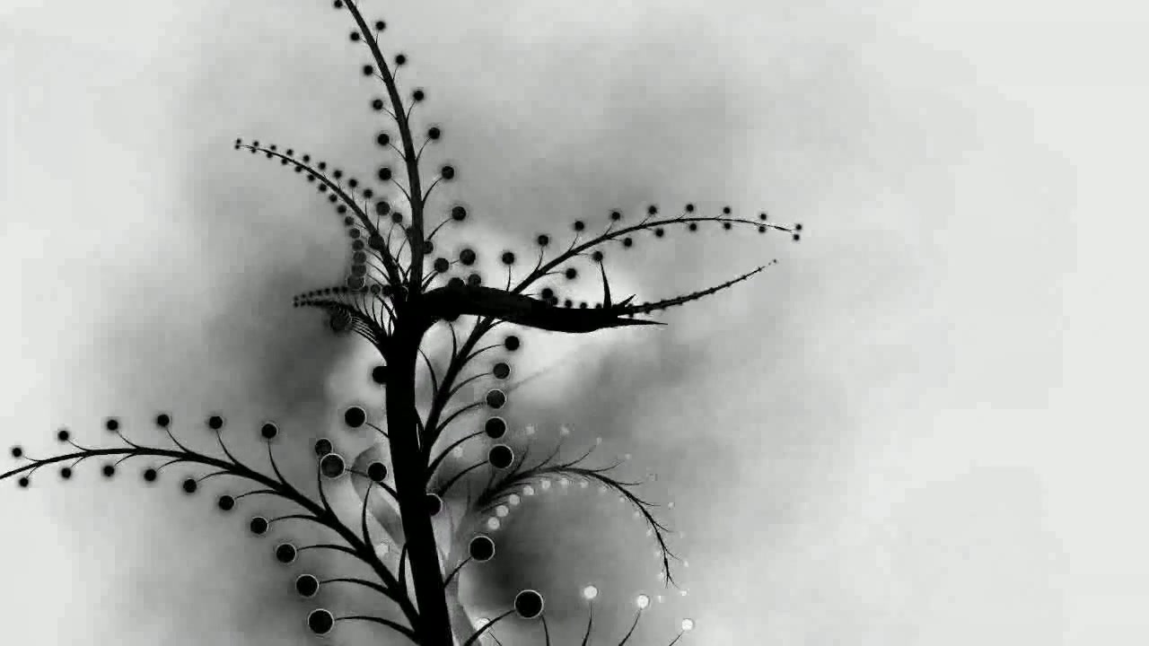 Metamorphosis - Coub