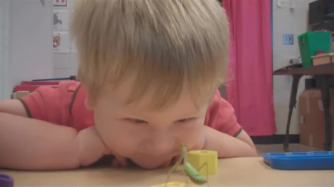 Wasted Богомол - Coub