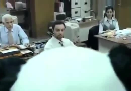 Panda had enough cheese for today - Rancid Audionite - Coub