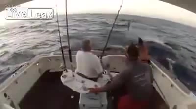 Big Fish Jumps Into Boat And Man Jumps Out - Coub