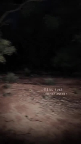 Getting up close to The Tall Howler - Coub