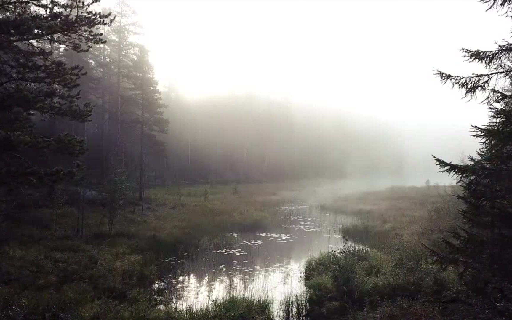 The world is beautiful - Coub