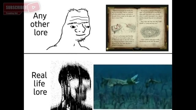 Real life lore - Coub